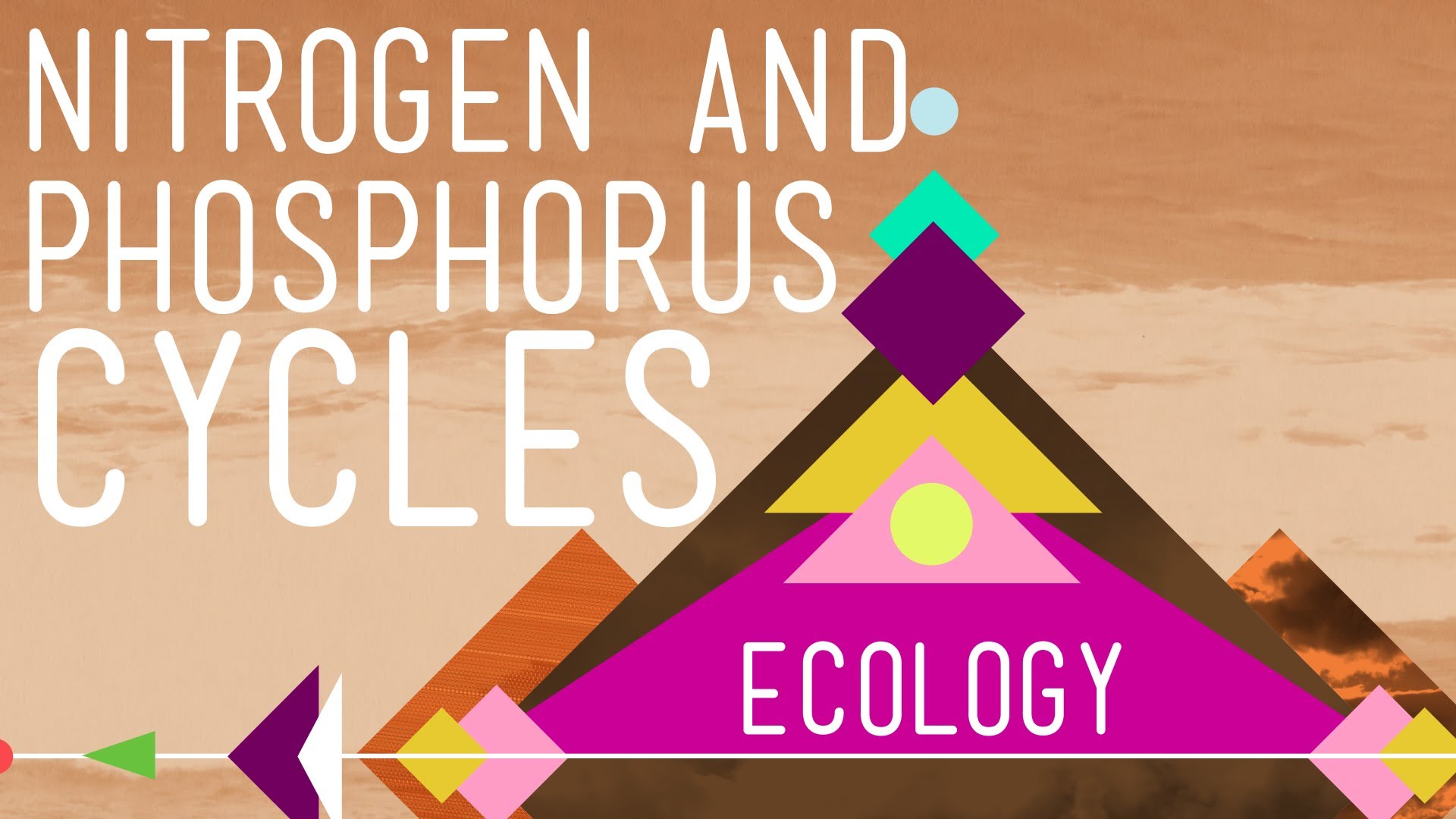 Phosphorus Cycle Animation